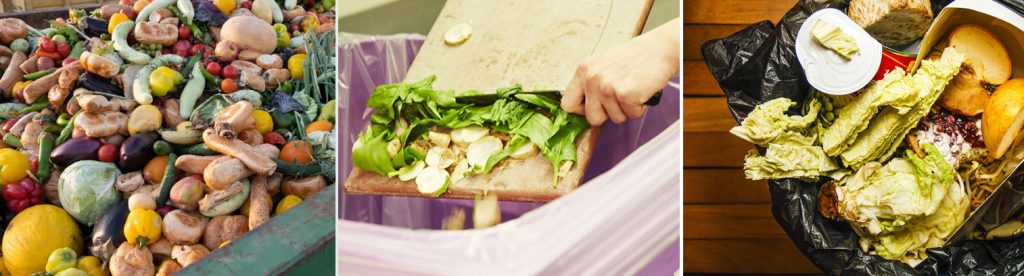 Priority Waste - Your complete waste management solution